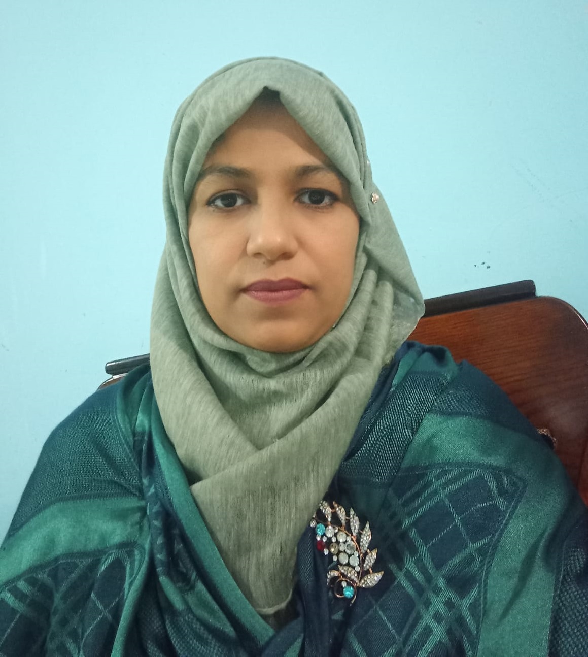 SIU | Department Of BA